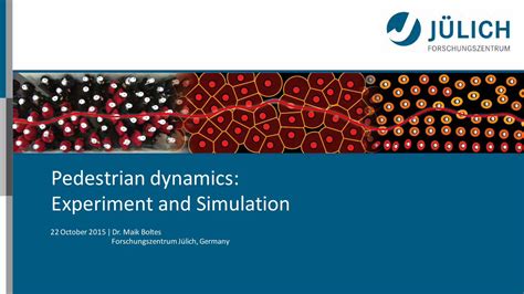 pdf pedestrian dynamics experiment and simulation dokumen tips