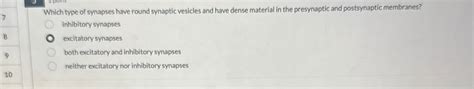 Solved Which Type Of Synapses Have Round Synaptic Vesicles