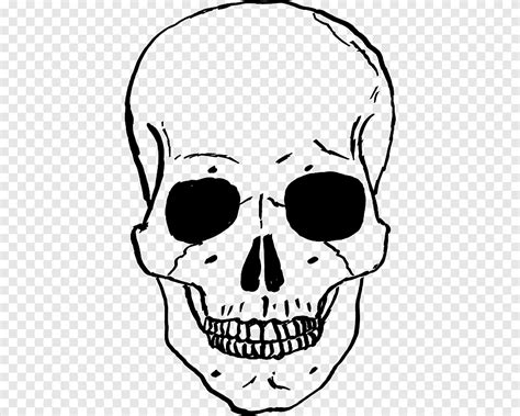 Jackass Skull Tattoo