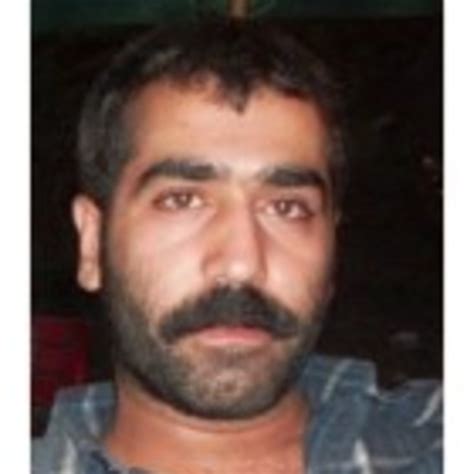 Ali Celik Serbest Kuvarssu Toptan Dagıtım Xing