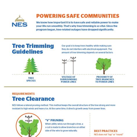 Monthly Bill Inserts Nes