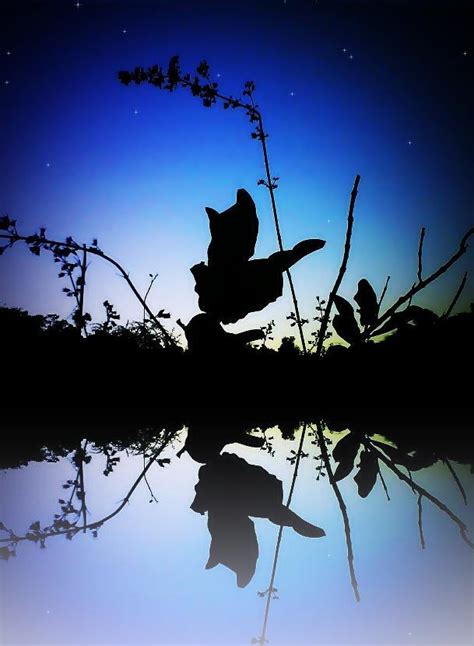 The Grass Dancer By Septle2 On Deviantart