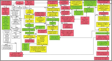 Management Algorithm Of The Patient With Traumatic Brain Injury Tbi