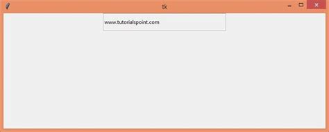 How Can I Insert A String In An Entry Widget That Is In The Readonly