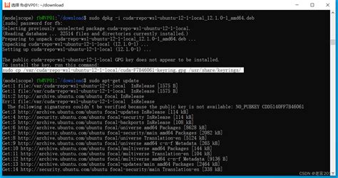 【wsl2笔记2】 搭建深度学习开发环境踩坑笔记 Ubuntucudacudnnpytorchtensorflowonnx从零搭建