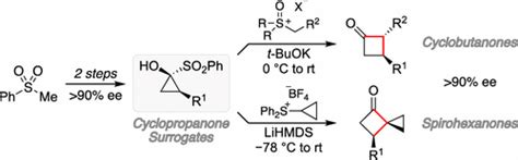 Stereospecific Synthesis Of Cyclobutanones And Spirohexanones Via