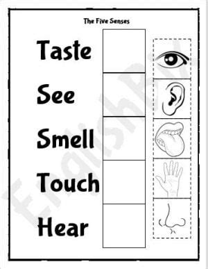Five Senses Cut And Paste Activity Worksheet Englishbix