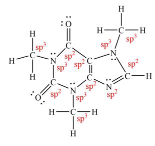 What Is The Hybridization Of Caffeine As Well As The Sigma Text And