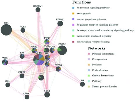 Pathway Analysis Using Grb2 A Significantly Connected And Download Scientific Diagram