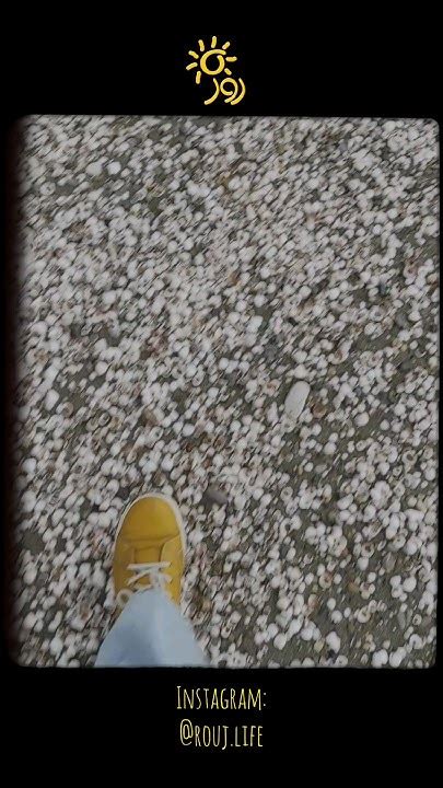 چیدن سپیده دم اثر مارگوت بیکل Shortvideo Shortsvideo Youtube