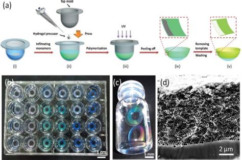 Self Assembled Coffee Ring Colloidal Crystals For Structurally Colored Contact Lenses Bio
