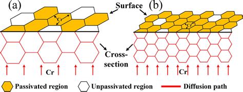 Effect Of Grain Size On Passivation Film A Bm B Sz Download Scientific Diagram