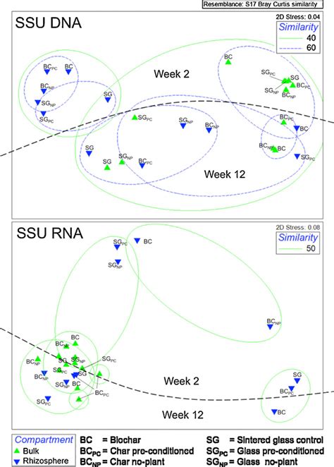 Multi Dimensional Scaling Mds Plot From Weeks 2 And 12 Depicting