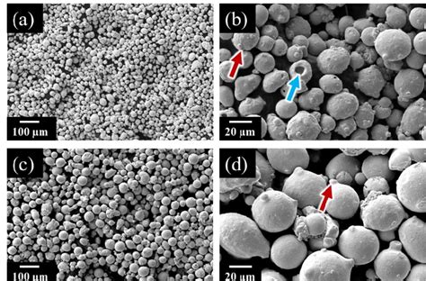 Particle Morphology Of A And B Batch 1 And C And D Batch 2 Powder Red Download Scientific