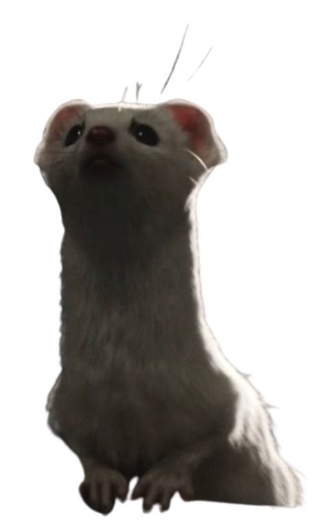 Pantalaimon By Dracoawesomeness On Deviantart