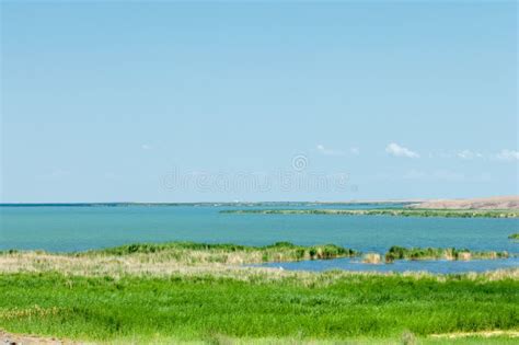 Steppe Treeless Poor Moisture And Generally Flat Area With Grassy