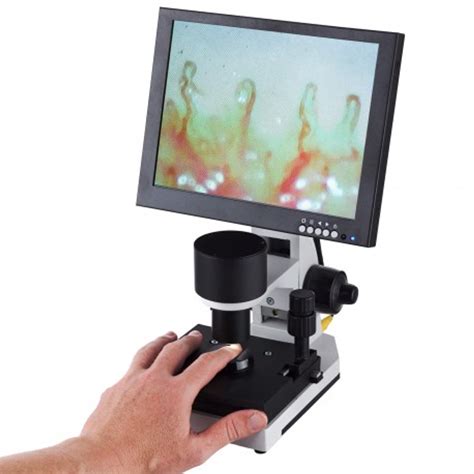 Capillary Microscope Great Solutions Summer Body