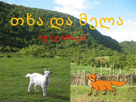 Calaméo თხა და მელა