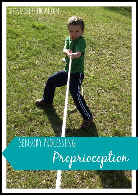 Sensory Processing What Is Proprioception Sensory Processing
