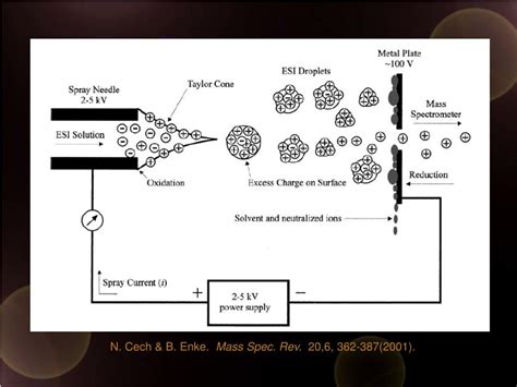 Ppt Esi Ms Electrospray Ionization Mass Spectrometry Powerpoint Presentation Id1463957