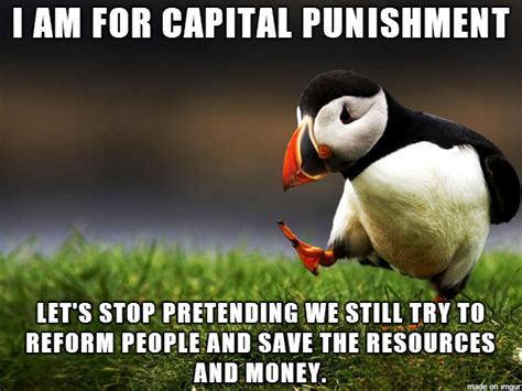 The Puffin Has A Point Meme On Imgur