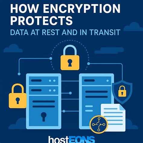 How Encryption Protects Data At Rest And In Transit Hosteons Best