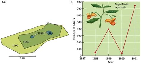 Ecology Population Distribution And Abundance Schoolworkhelper
