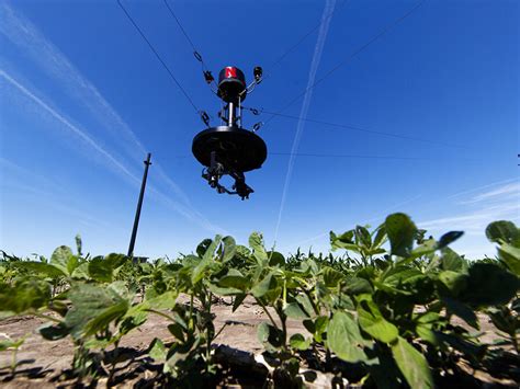Field Phenotyping Facility Plant Phenotyping Agricultural Research Division Nebraska