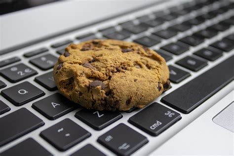 O Que São Os Cookies De Internet Notícias Concursos