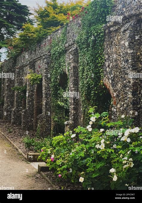 Ashridge House And Gardens In Summer Illustrative Editorial Stock