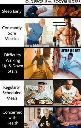 The Male Body Types Ectomorph Endomorph Mesomorph Artofit