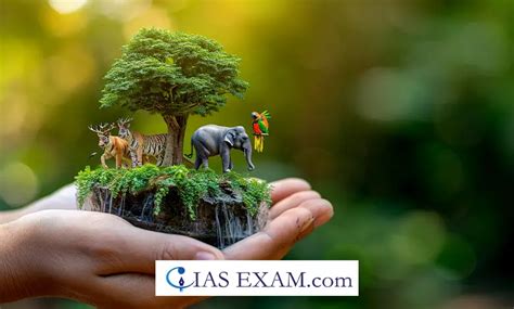 Forest Conservation Efforts In India Upsc