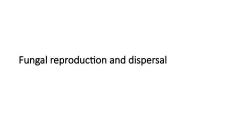 Sexual Reproduction In Fungi Pptx