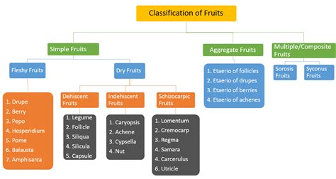 Fruit Seed