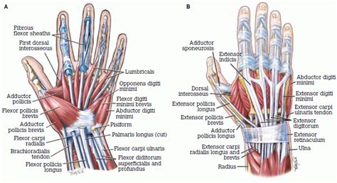 Cme 12 12 13 Hand Injuries Charlies Ed
