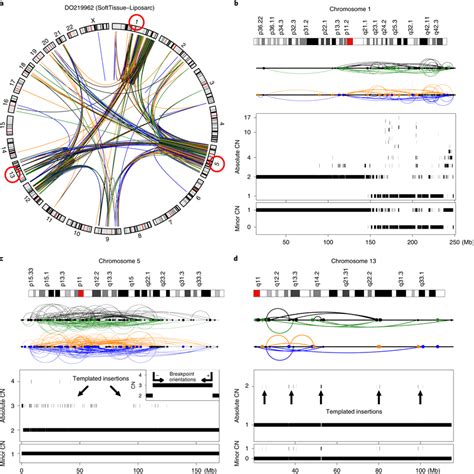 Example Of A Multichromosomal Chromothripsis Event In A Soft Tissue