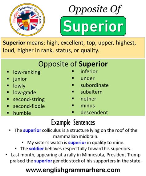 Opposite Of Superior Antonyms Of Superior Meaning And Example Sentences