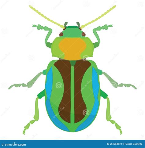 Leaf Beetle Illustration Drawing Engraving Ink Line Art Vector