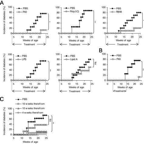 A Female Nod Mice Were Injected Ip With 200 µg P40 100 µg