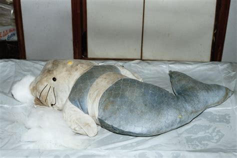 Hong Kongs Hello Kitty Murder Case When A Young Woman Was Killed And