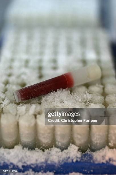 Biobank Photos And Premium High Res Pictures Getty Images