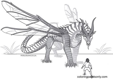Wings Of Fire Qibli Coloring Pages Coloring Pages