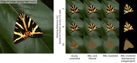 Qcpa Paper Press Release Empirical Imaging