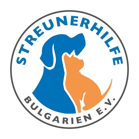 Hallo Ich Bin Archie 🐾 Ich Bin Ein 3 Jahre Alter Kater Mit Einem Sanften Herzen Und Einer