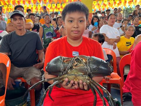 Festival De Alimango Crab Overload In Samars Alimango Festival