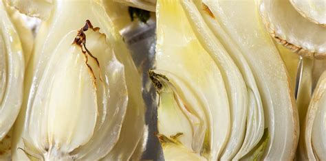 Fakta Nutrisi Manfaat Kesehatan Kemungkinan Efek Samping Resep Dan Banyak Lagi