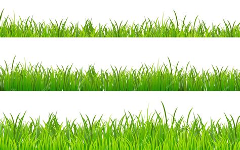 Premium Vector Realistic Vector Green Grass Border Set Summer Lawn
