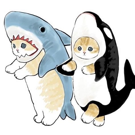 Here S A Cute Cat Shark To Brighten Your Day Artofit