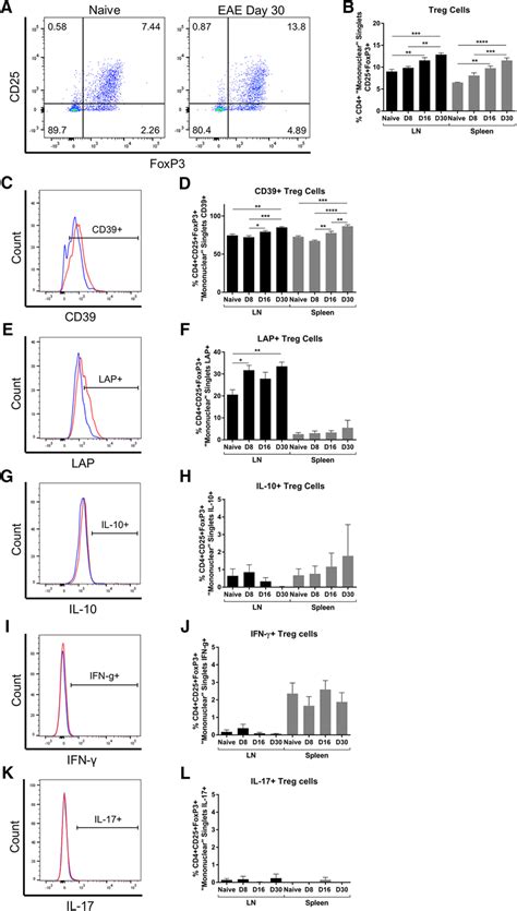 Peripheral Treg Cell Phenotyping Over The Course Of Chronic Eae Shown