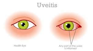 Retina Specialists Of Mississippi Board Certified Eye Doctors